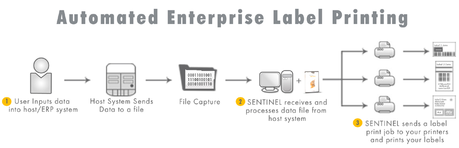 Sentinel Sentinel自动化标签打印 Codesoft Erp Sap Oracle 4347